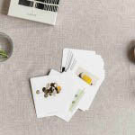 Inner Compass Deck – House of Formlab