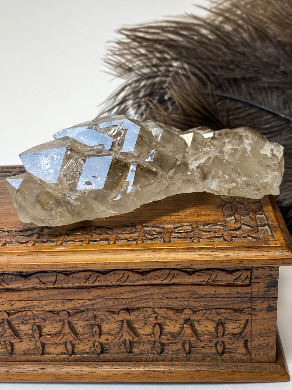 What are Elestial Crystals? - House of Formlab