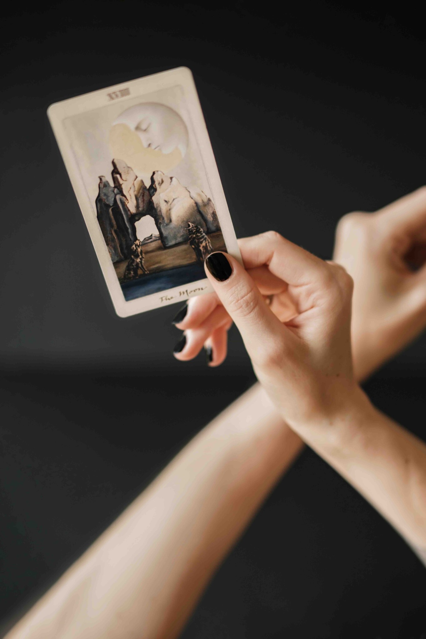 Tarot Readings by HOF – House of Formlab